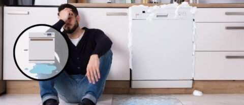 How to Fix a Dishwasher: 11 Problems and Easy Fixes | WDD